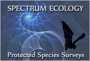 Spectrum Ecology – Ecological Consultants